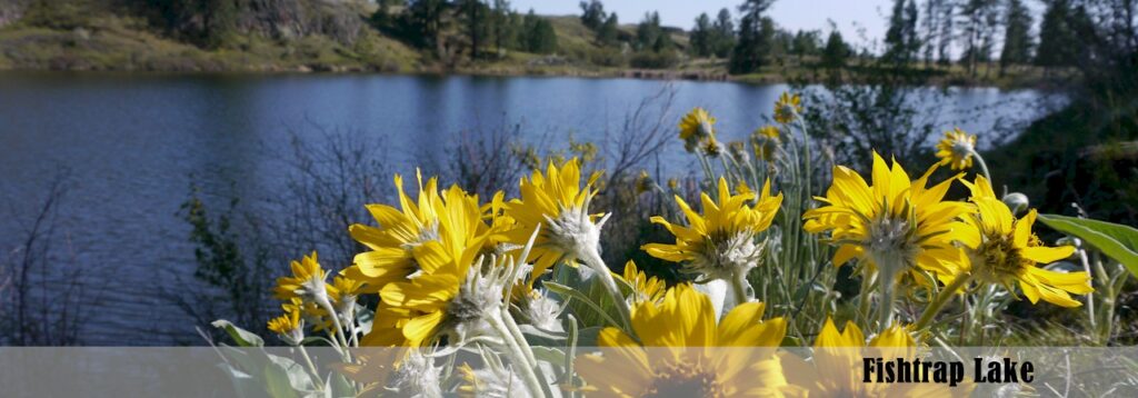 About Us - Spokane Area Retired Educators Association